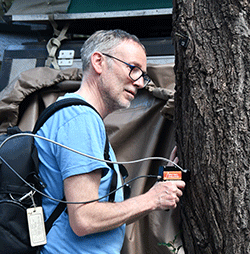 Prof. Dr. Patrick Hostert — Geographisches Institut